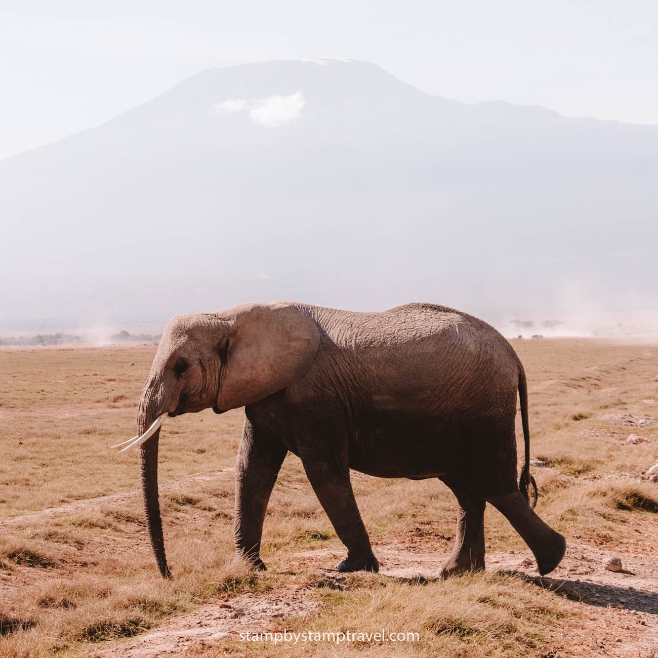 Las 10 mejores cosas que ver en Kenia